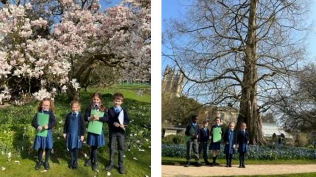 Windrush Valley Private School Oxfordshire - This Week's News Bulletin